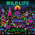 Buy Wild Life tickets, Wild Life tour details, Wild Life reviews ...